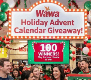 Wawa Holiday Advent Calendar Sweepstakes (100 WINNERS!) - Hunt4Freebies